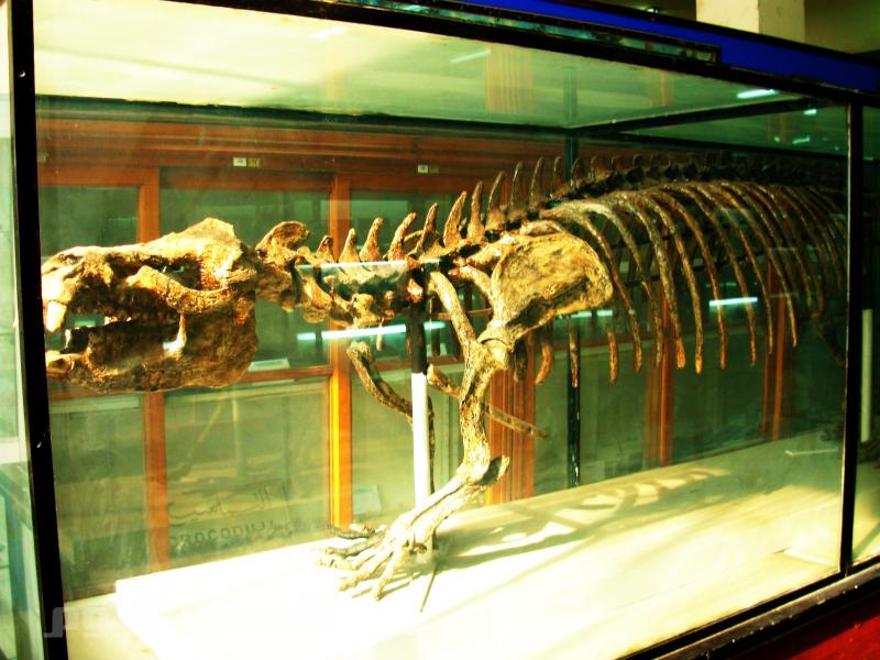 The Egyptian Geological Museum, Maadi | Cairo 360 Guide to Cairo, Egypt