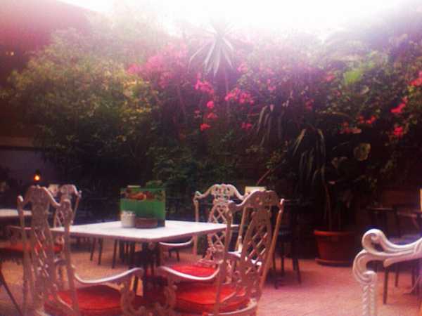 Café De Paris: Zamalek’s Cosy Outdoor Shisha & Sandwich Spot – Cairo ...
