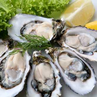 Flying Fish: Cairo Seafood Out of This World – Cairo 360 Guide to Cairo ...