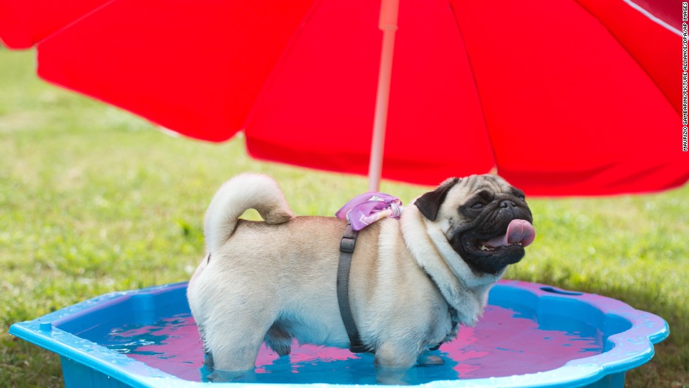 Smart Summer Hacks: DIY ACs to Keep You Cool – Cairo 360 Guide to Cairo ...