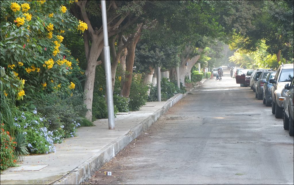 Greenish to Launch Its ‘Aware Streets Project’ in Maadi – Cairo 360 ...