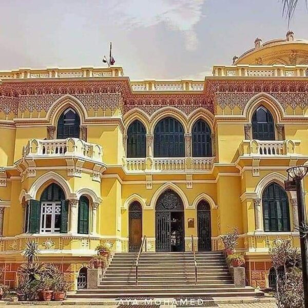 Six Public Libraries in Cairo Where You Can Study, Read, or Just Relax ...
