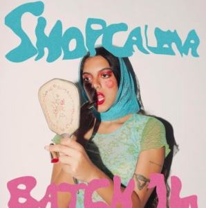 Shopping Sustainably: Where to Get Quality Vintage and Thrifted Items ...