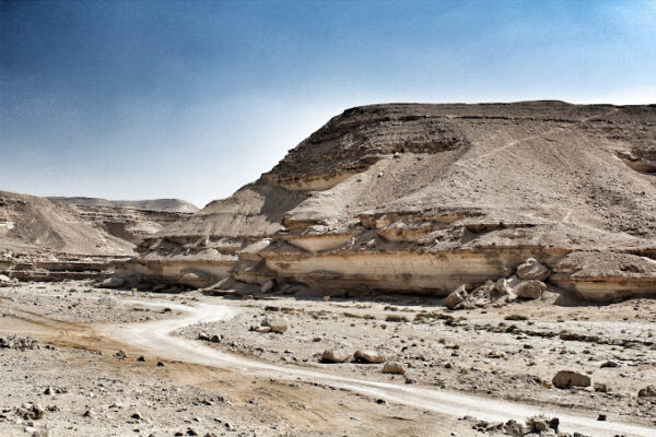 Visit These Nature Retreats Within and Near Cairo – Cairo 360 Guide to ...