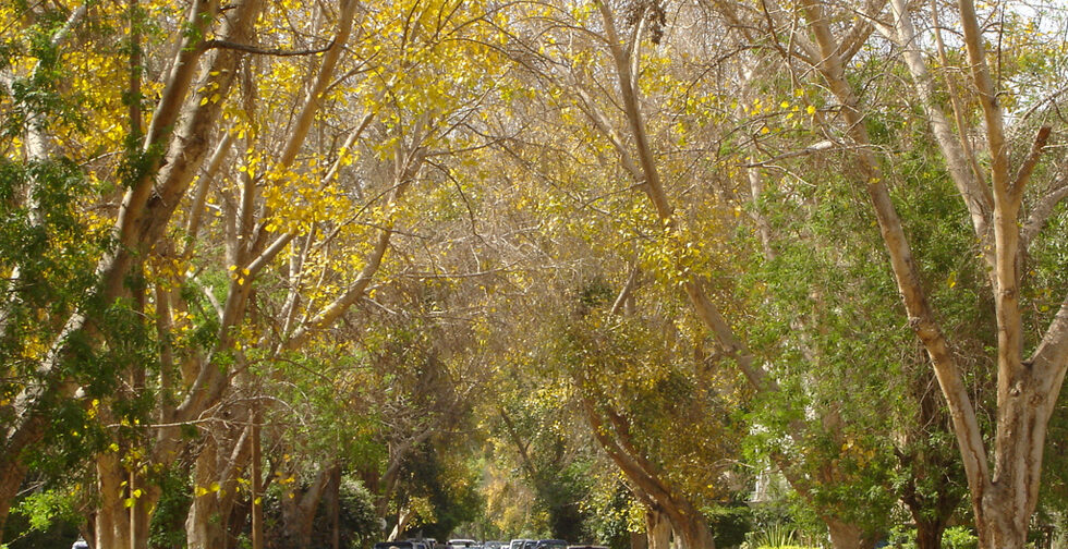 Cairo 360 Guide to Cairo, Egypt – Cairo 360 is a multi-award winning ...