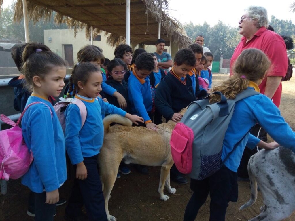 Al Sorat Farm: Authentic Egyptian Countryside Experience in Cairo ...