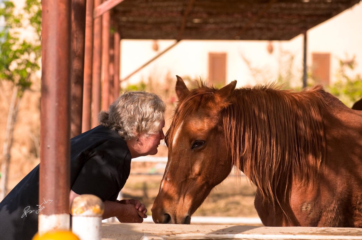 Al Sorat Farm: Authentic Egyptian Countryside Experience in Cairo – Cairo 360 Guide to Cairo, Egypt