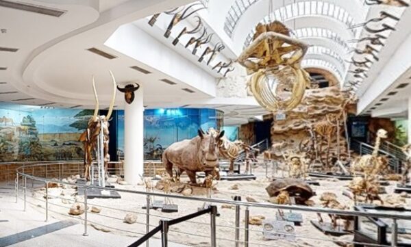 Discover These 13 Hidden Gems Scattered Around Cairo – Cairo 360 Guide ...