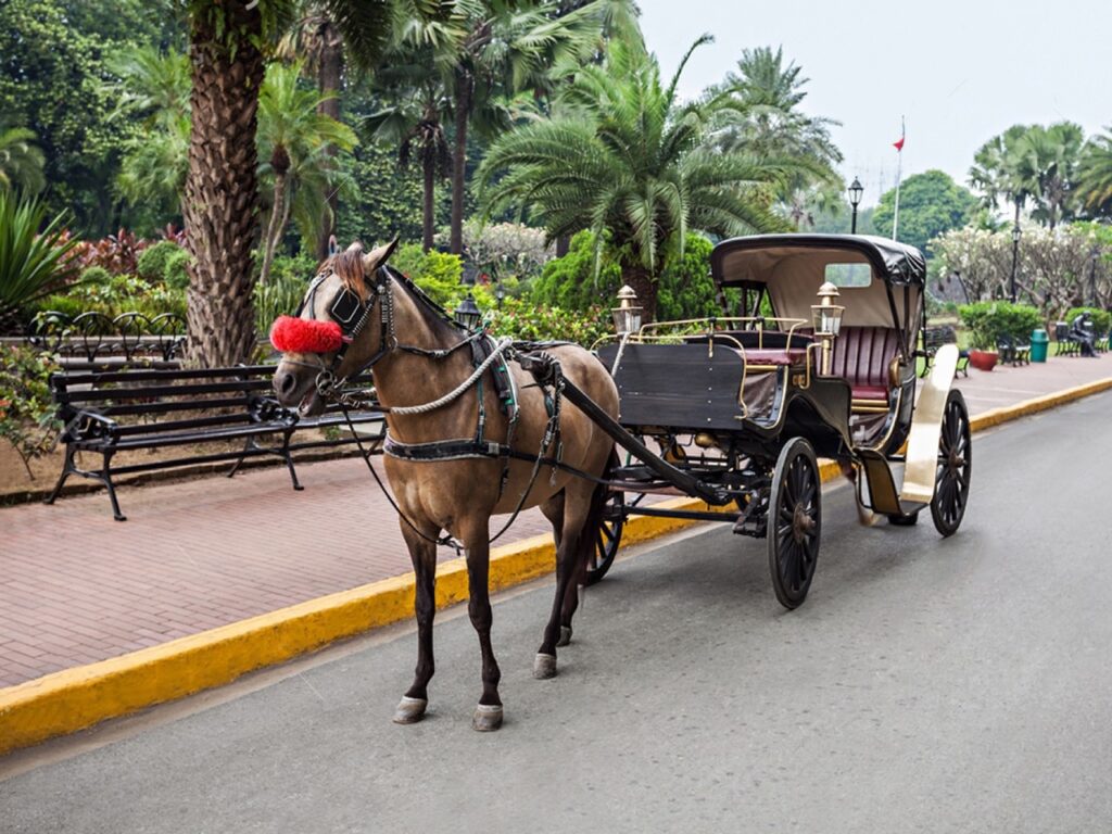 13 Must-Try Activities By The Nile – Cairo 360 Guide to Cairo, Egypt