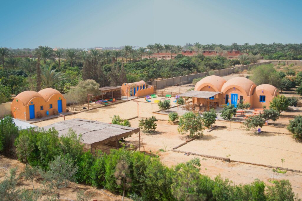 The Mango Tree: An Idyllic Family Retreat in Cairo – Cairo 360 Guide to Cairo, Egypt