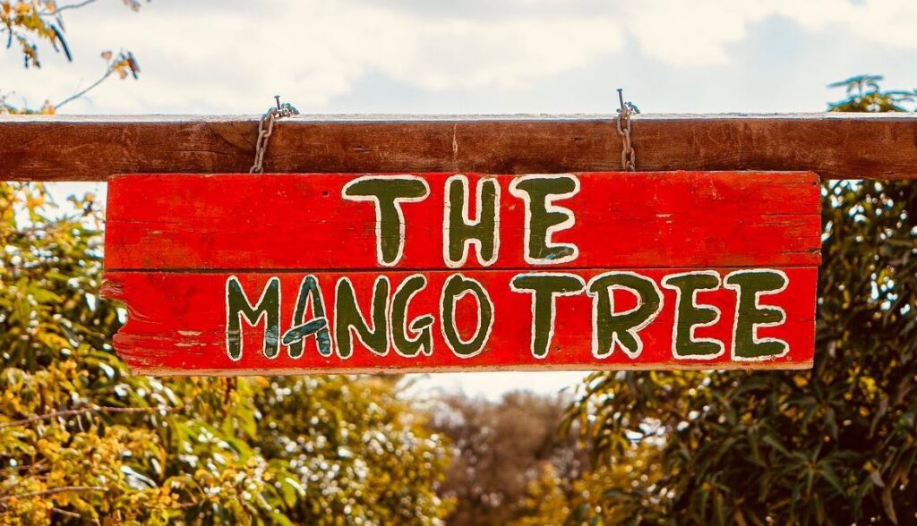 The Mango Tree: An Idyllic Family Retreat in Cairo – Cairo 360 Guide to Cairo, Egypt