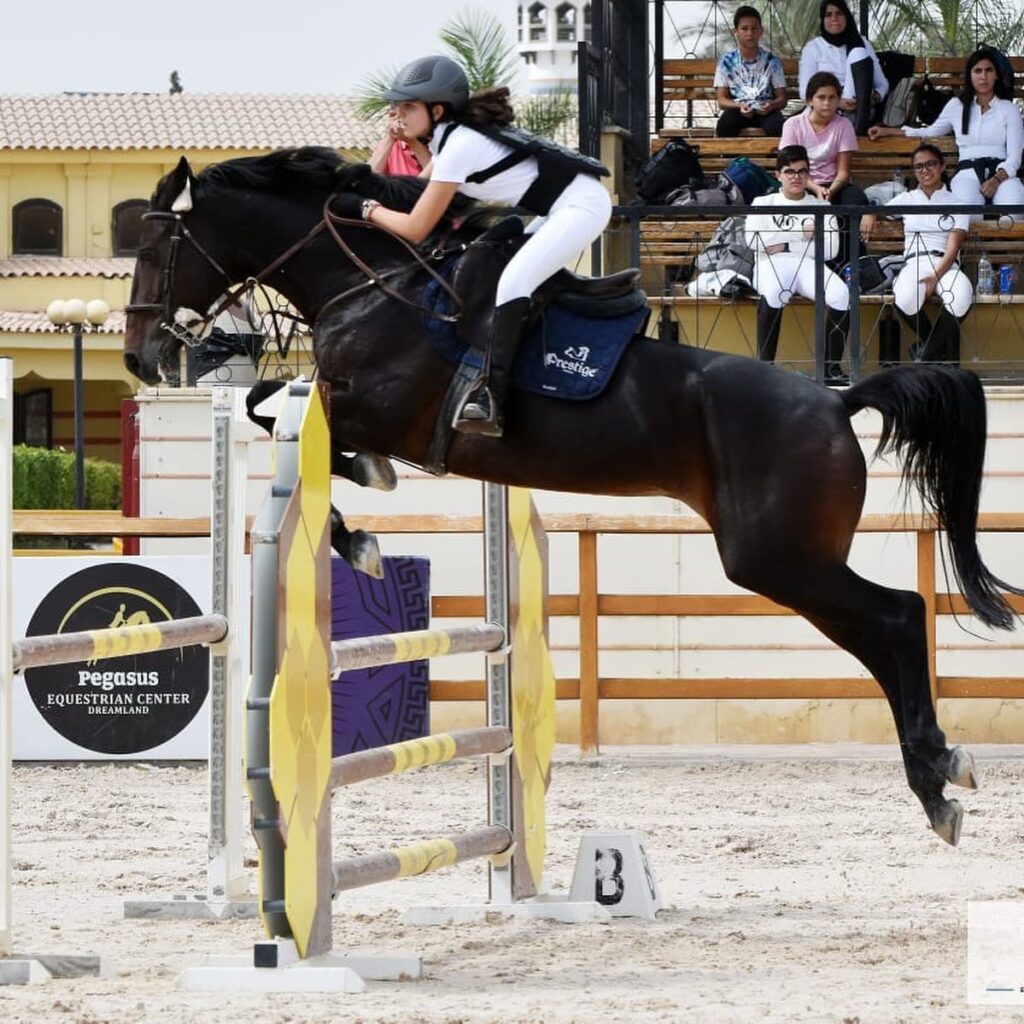 5 Places in Cairo to go Horseback Riding – Cairo 360 Guide to Cairo, Egypt