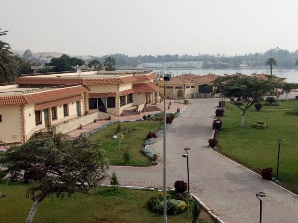 Visiting the Mango Festival? Here’s How to Make the Most of Your Time ...