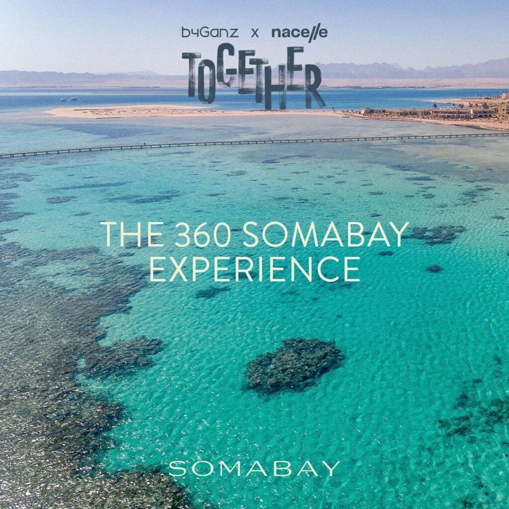 Weekend Guide: A Long Weekend of Autumn Bazaars, Art Exhibitions, and Musical Performances ...