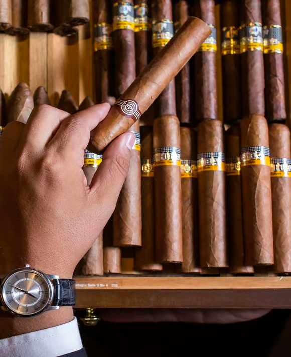 1897 The Bar & Cigar Lounge, New Cairo | Cairo 360 Guide to Cairo, Egypt