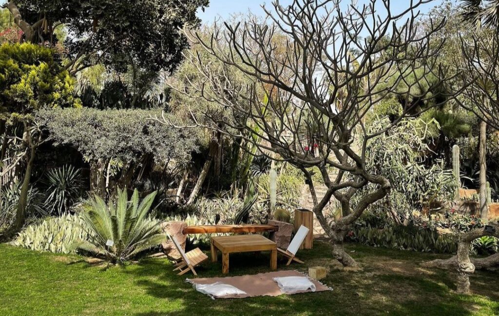 Blossoming Legacy: Mazhar Botanic Garden’s Commitment to Biodiversity ...