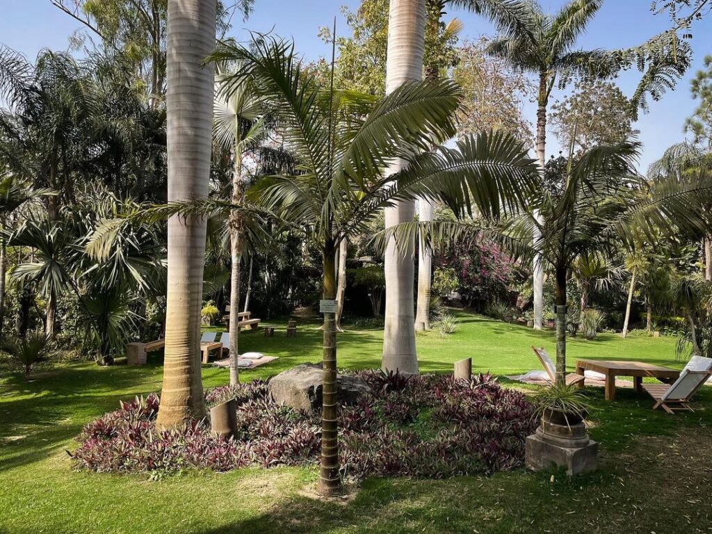 Blossoming Legacy: Mazhar Botanic Garden’s Commitment to Biodiversity ...