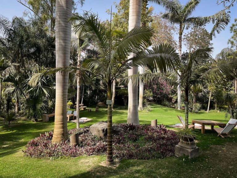Blossoming Legacy: Mazhar Botanic Garden’s Commitment to Biodiversity ...