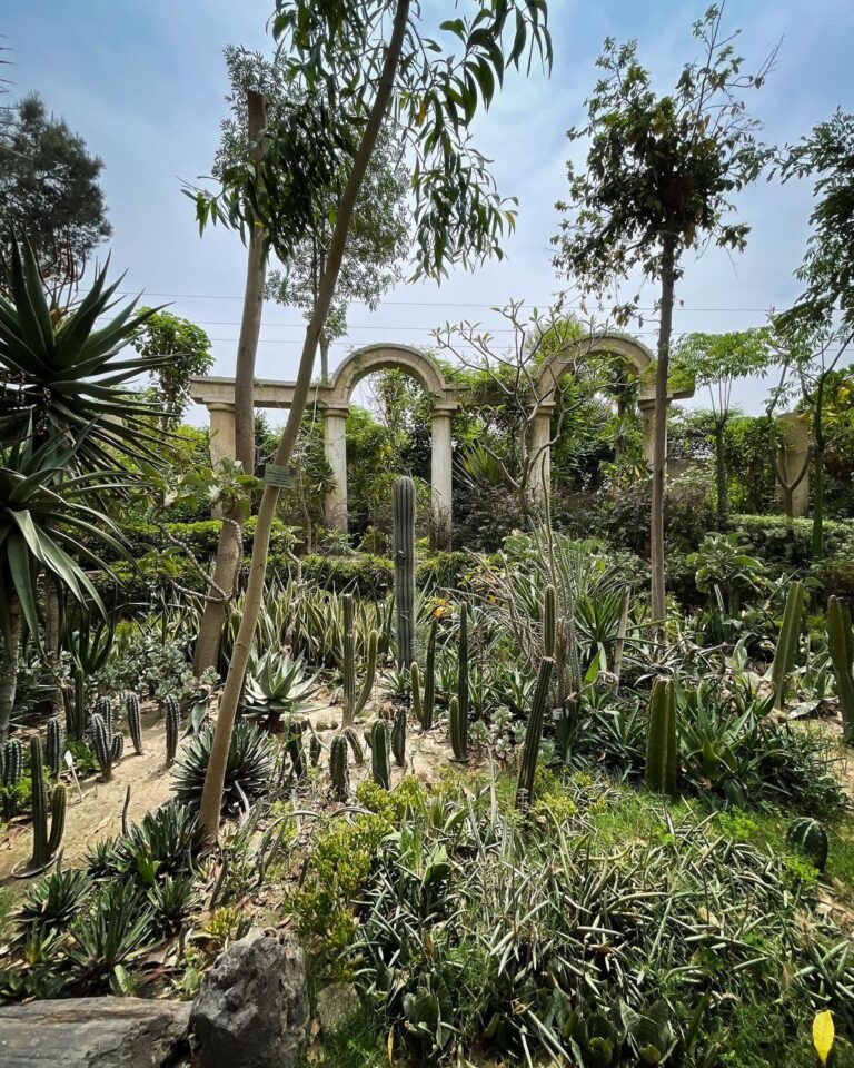 Blossoming Legacy: Mazhar Botanic Garden’s Commitment to Biodiversity ...