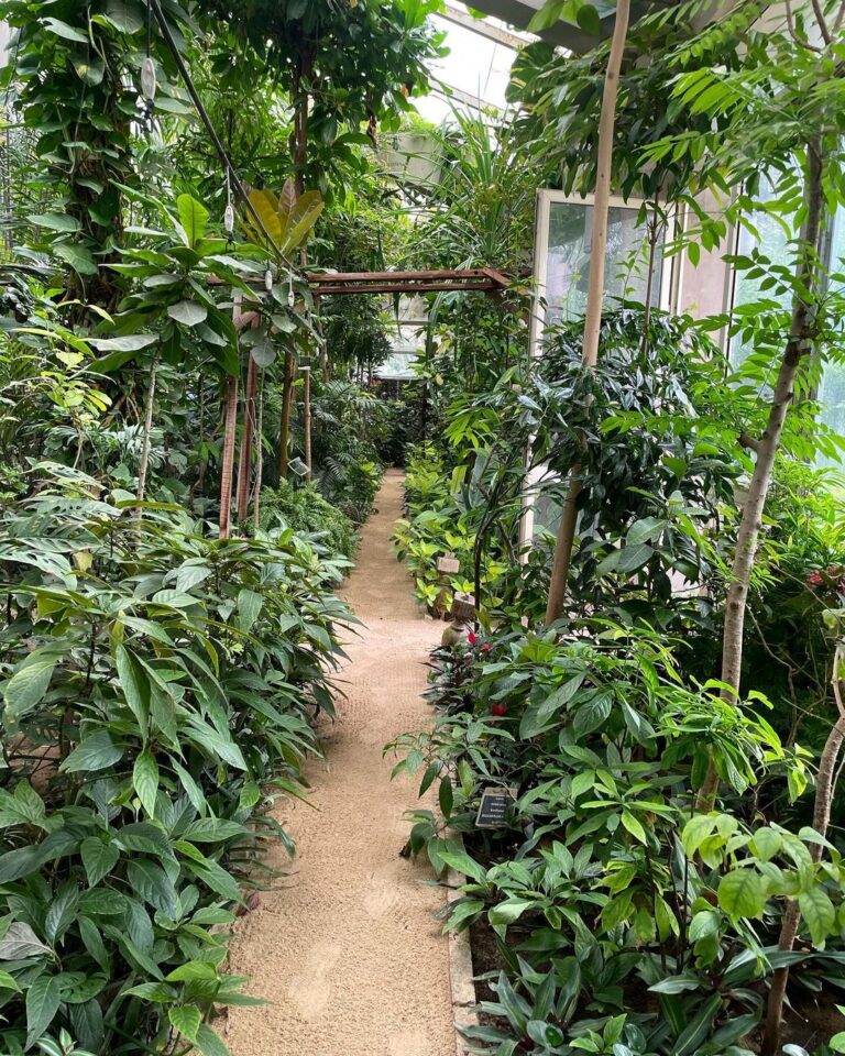 Blossoming Legacy: Mazhar Botanic Garden’s Commitment to Biodiversity ...