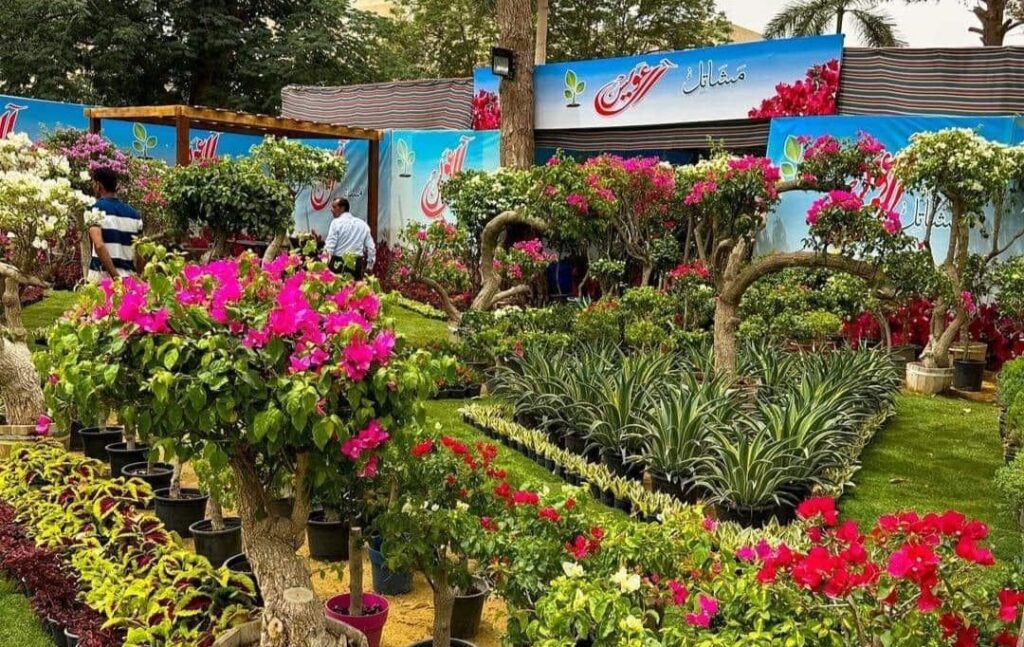 Celebrate Spring: The 91st Annual Flower Exhibition at the Agricultural Museum – Cairo 360 Guide ...