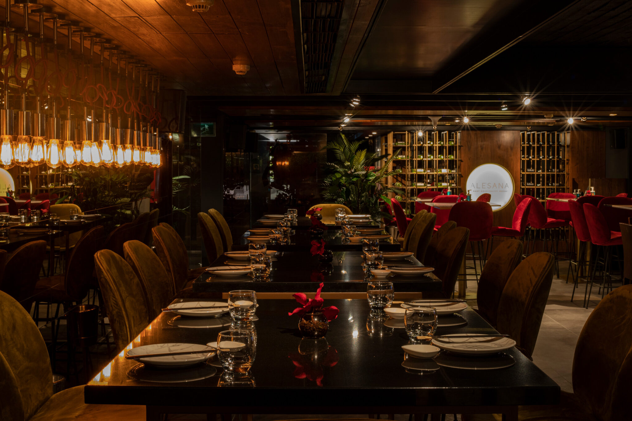 Cairo 360 Editors’ Choice Awards 2024: Nightlife Award Winners – Cairo ...