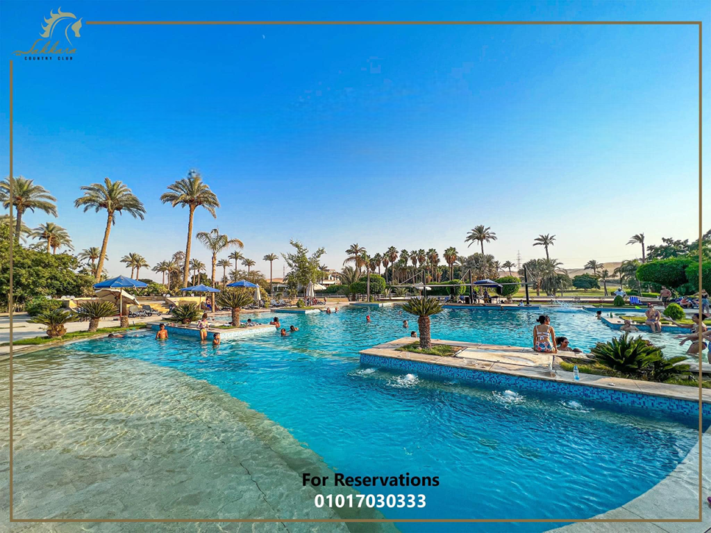 Stuck in the City for the Summer? Here Are 12 Pools in Cairo! – Cairo ...
