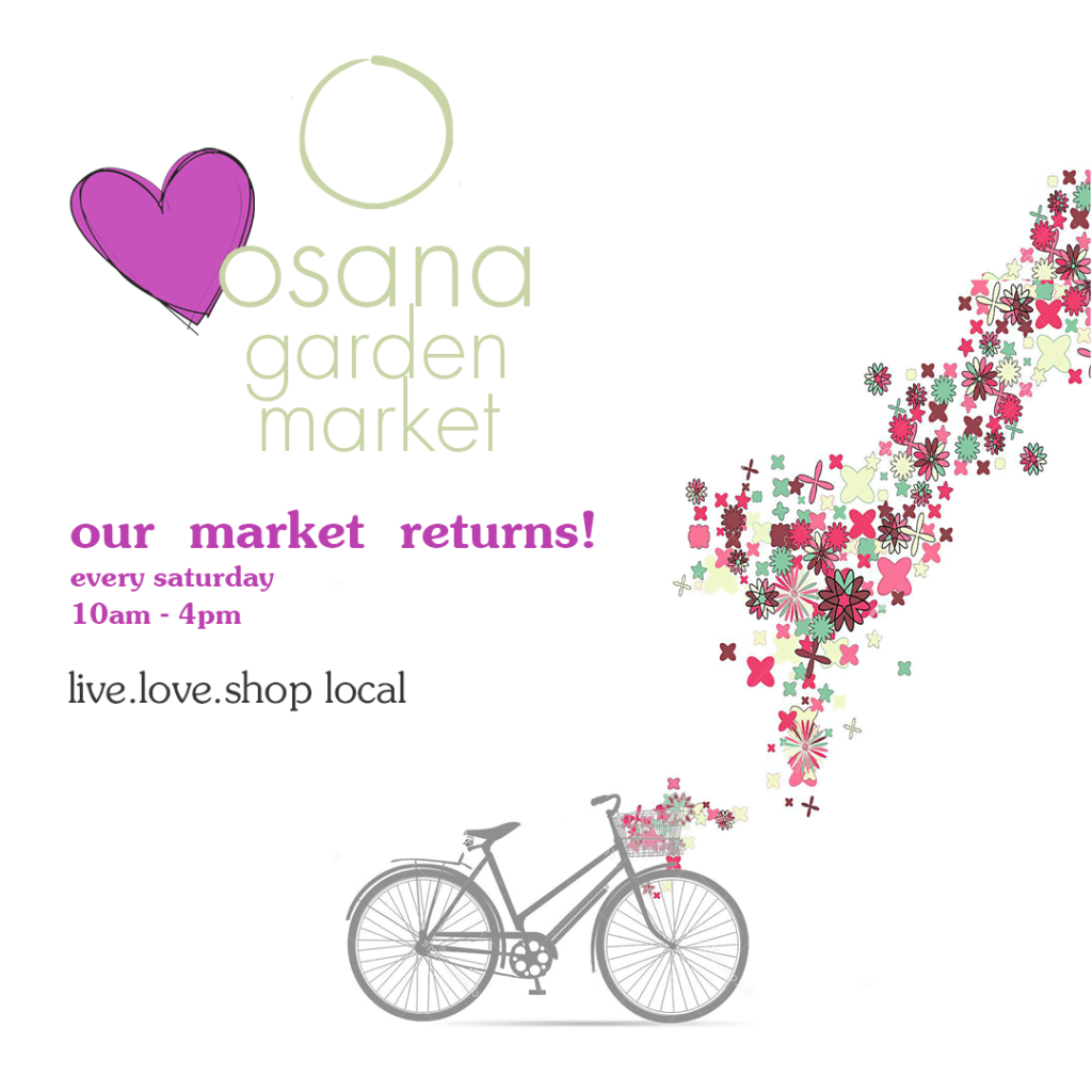 Weekend Guide: Amr Diab, Klassic Kulture, Rima, Dance Fever, Osana ...