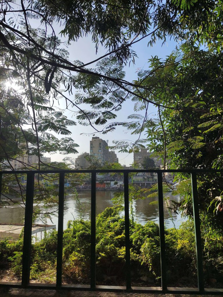 Winter in Zamalek: How to Spend a Relaxing Day in Zamalek – Cairo 360 ...