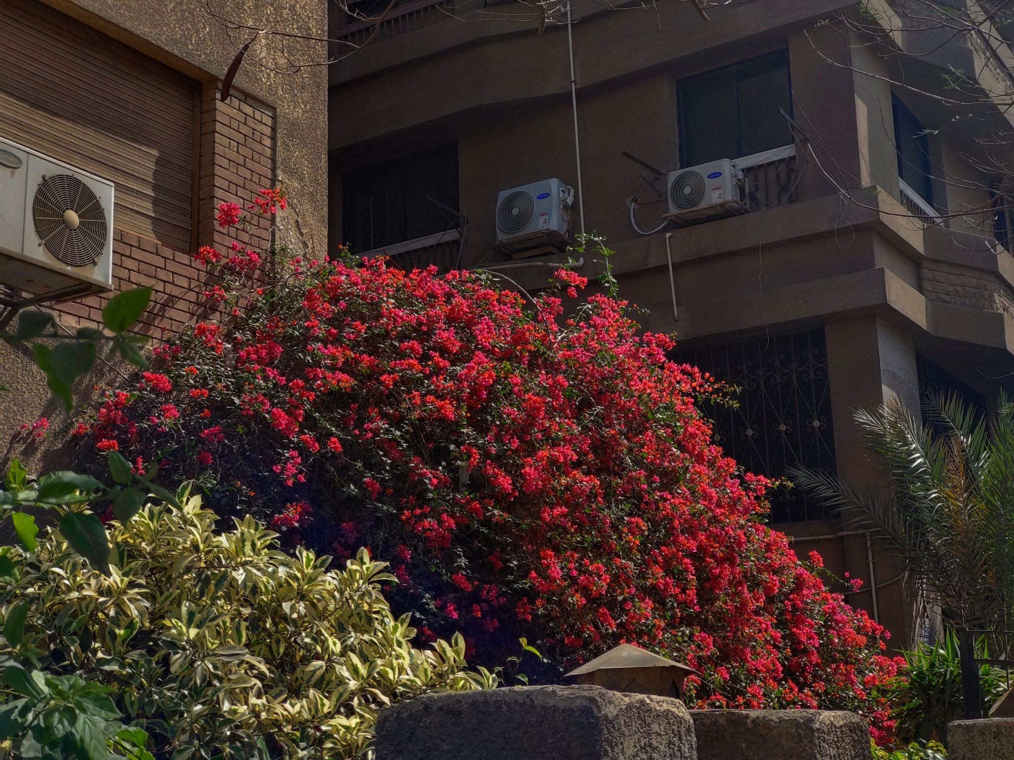 Celebrating 120 of Misr El-Gedida: Over a Century of Everlasting Charm and Memories – Cairo 360 ...