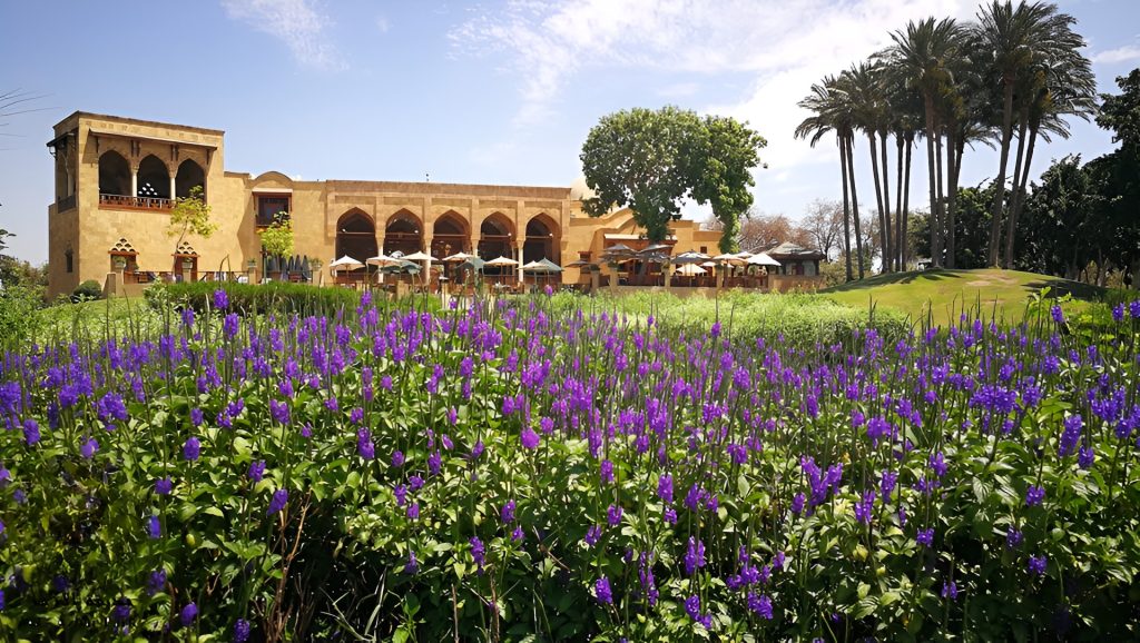 Time to Touch Some Grass: 6 Peaceful Green Parks in Cairo to Unplug ...